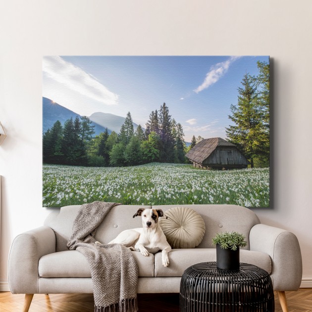 The accent in interior – canvas prints Meadow! | CanvasWay.com
