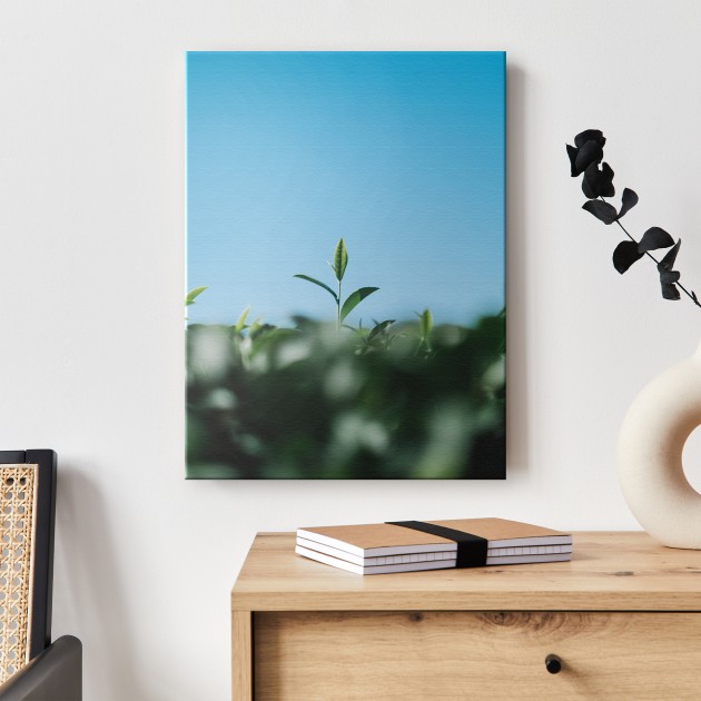 The accent in interior – canvas prints Tea leaf |CanvasWay.com