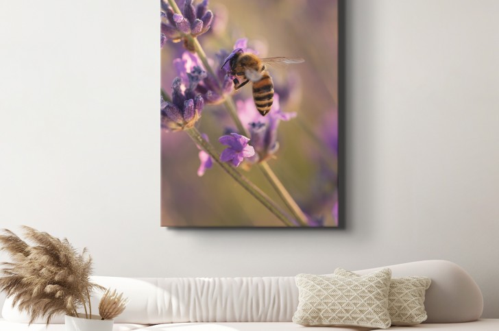 Original canvas prints