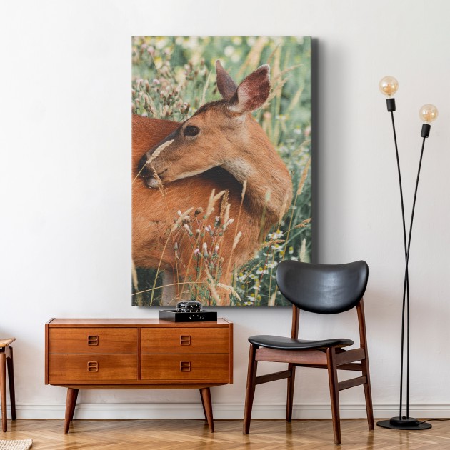 Your home longs for this canvas prints Doe!