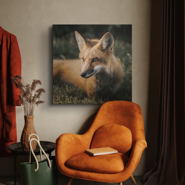 Your home longs for this canvas prints Fox! | CanvasWay.com