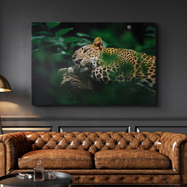 Canvas prints Leopard for your interior! CanvasWay.com